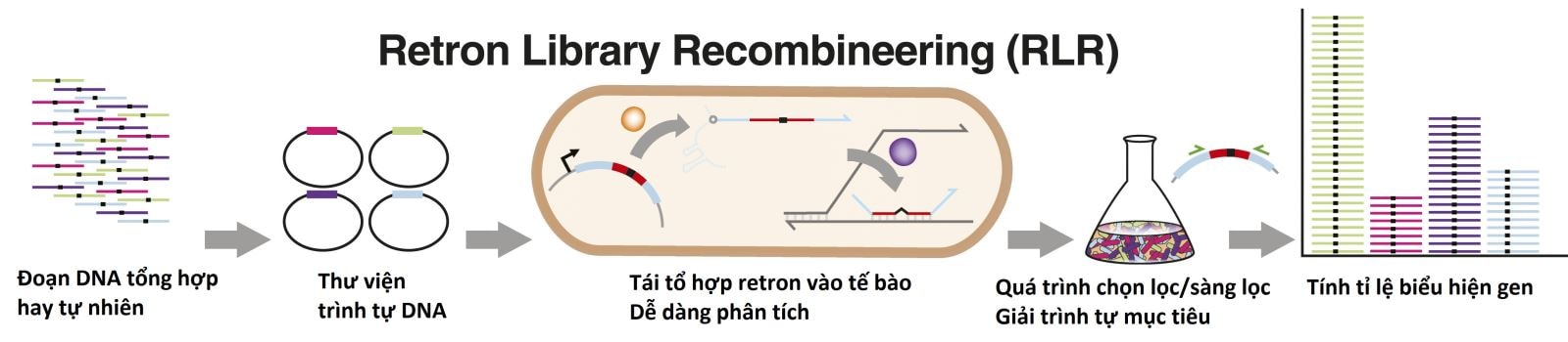 Retron: phương pháp mới có khả năng “soán ngôi” CRISPR-Cas9