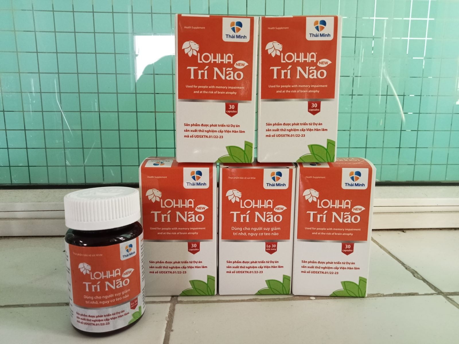 Hỗ trợ tăng trí nhớ từ rau sam đắng và hương nhu tía