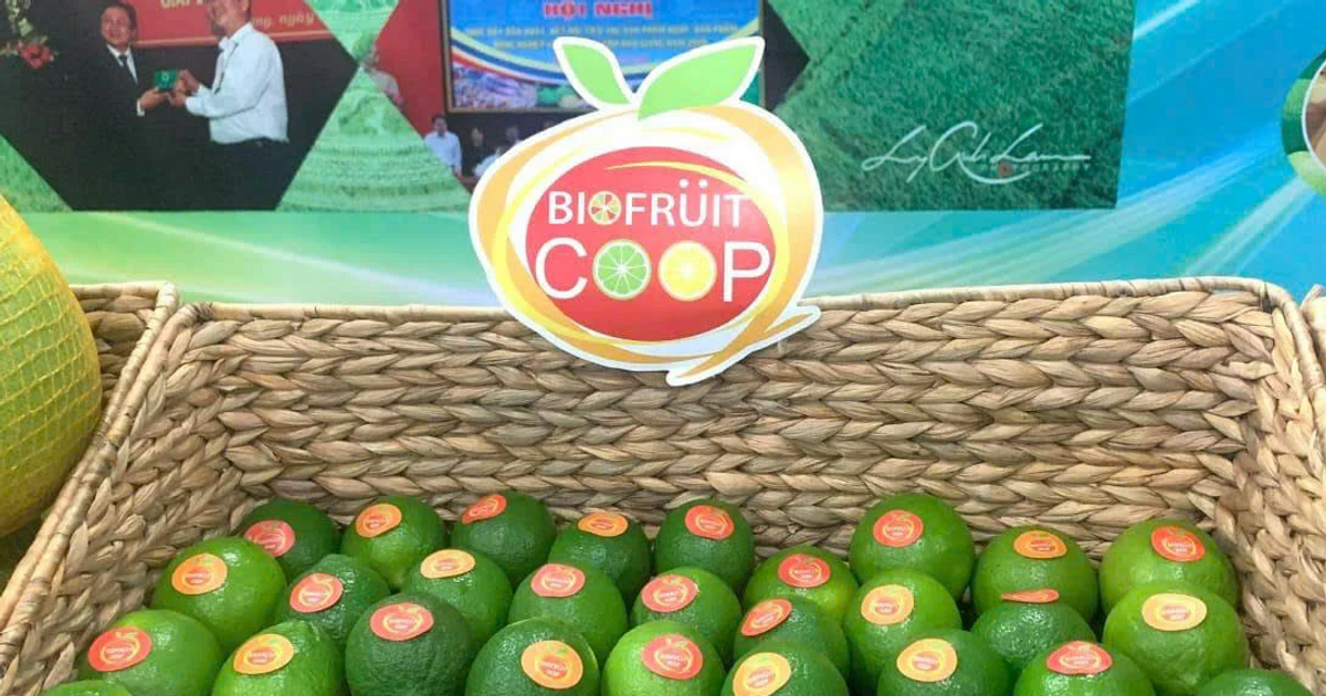 Sản xuất trái cây có giá trị gắn với tiêu chuẩn OCOP