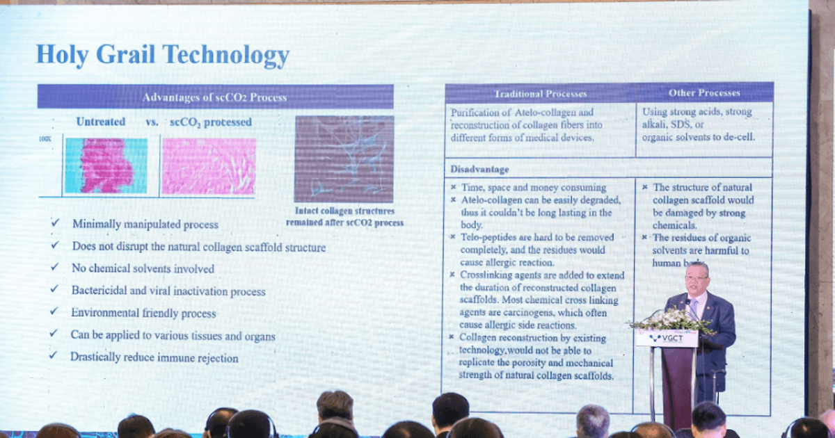 Porcine corneal transplantation technology: A new breakthrough in ...